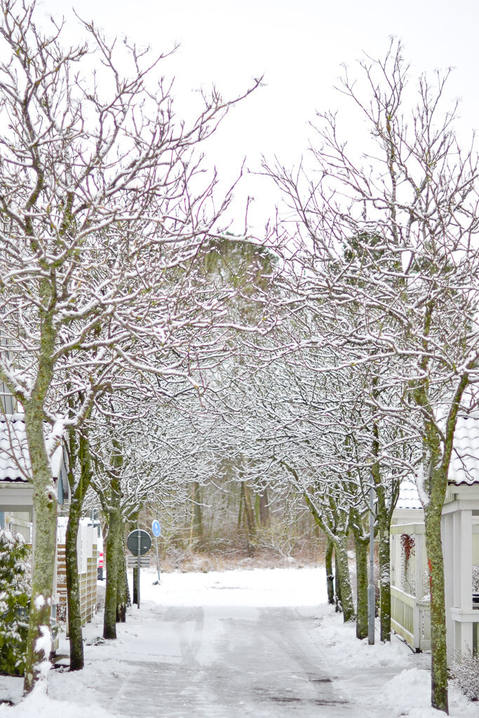 Winter in Sweden: what is it like? – Plumedaure