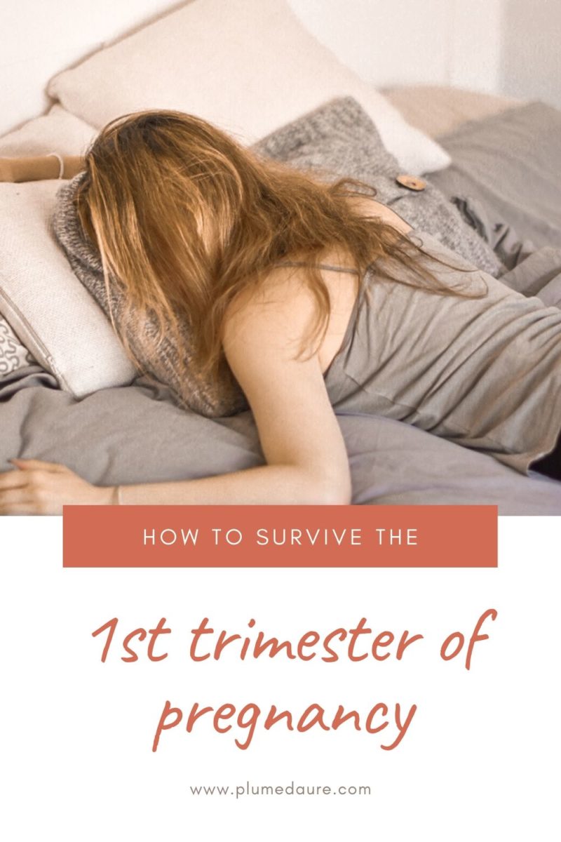 First trimester of pregnancy : how to survive ? – Plumedaure